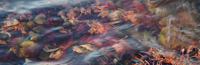 Somatic Expression with Jamie McHugh